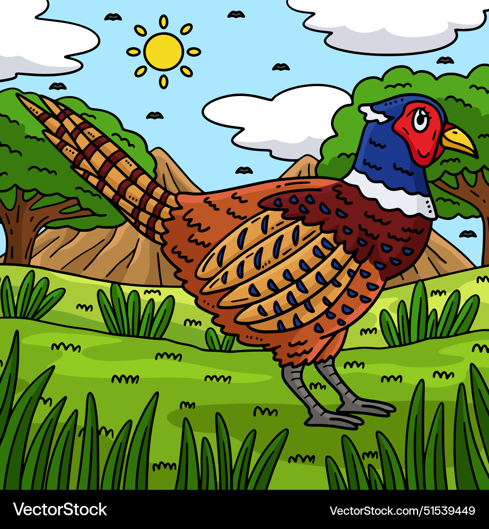 Common pheasant bird colored cartoon Royalty Free Vector