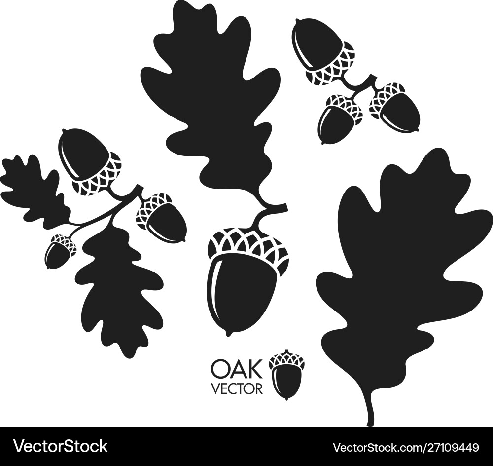 Eichenbaum Silhouette Lizenzfreies Vektorbild