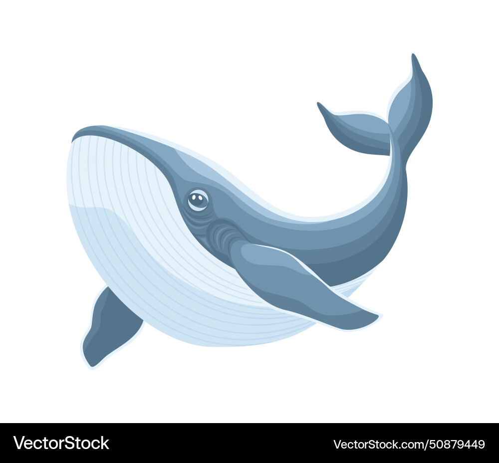 Gray blue cartoon whale isolated on white Vector Image
