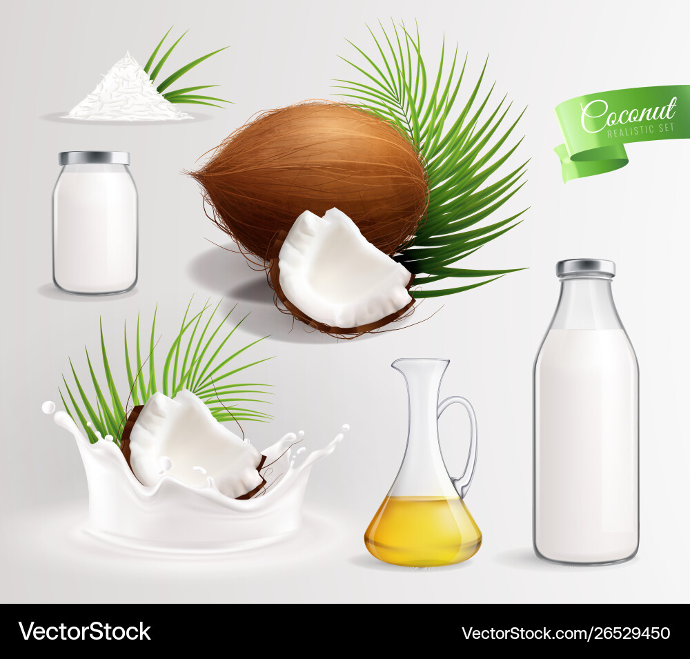 Coconut milk products set Royalty Free Vector Image