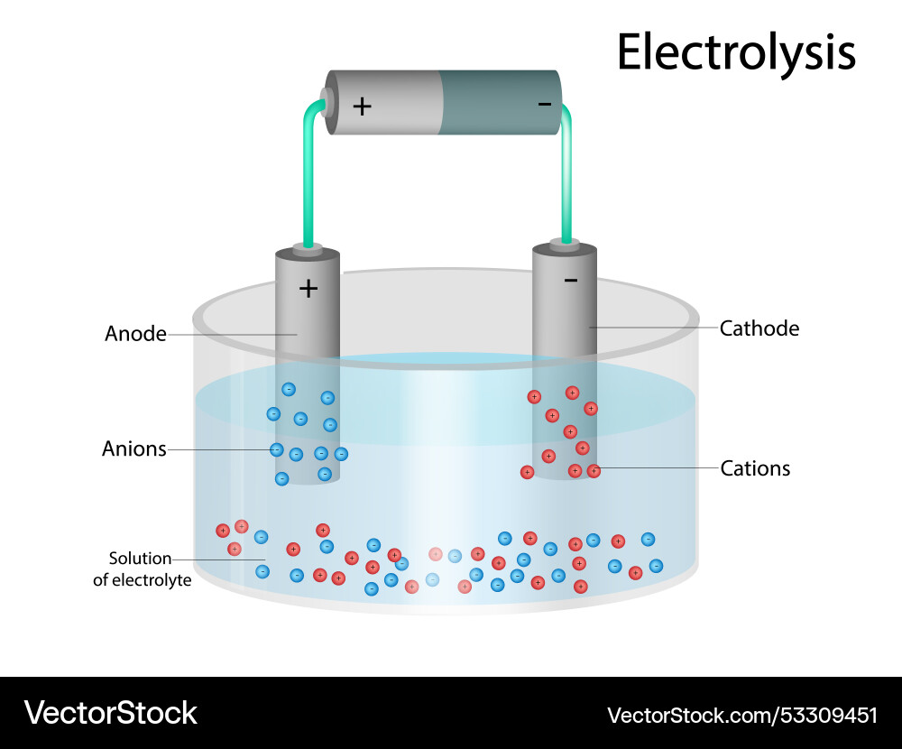 Electrolysis solution of electrolyte cations and Vector Image
