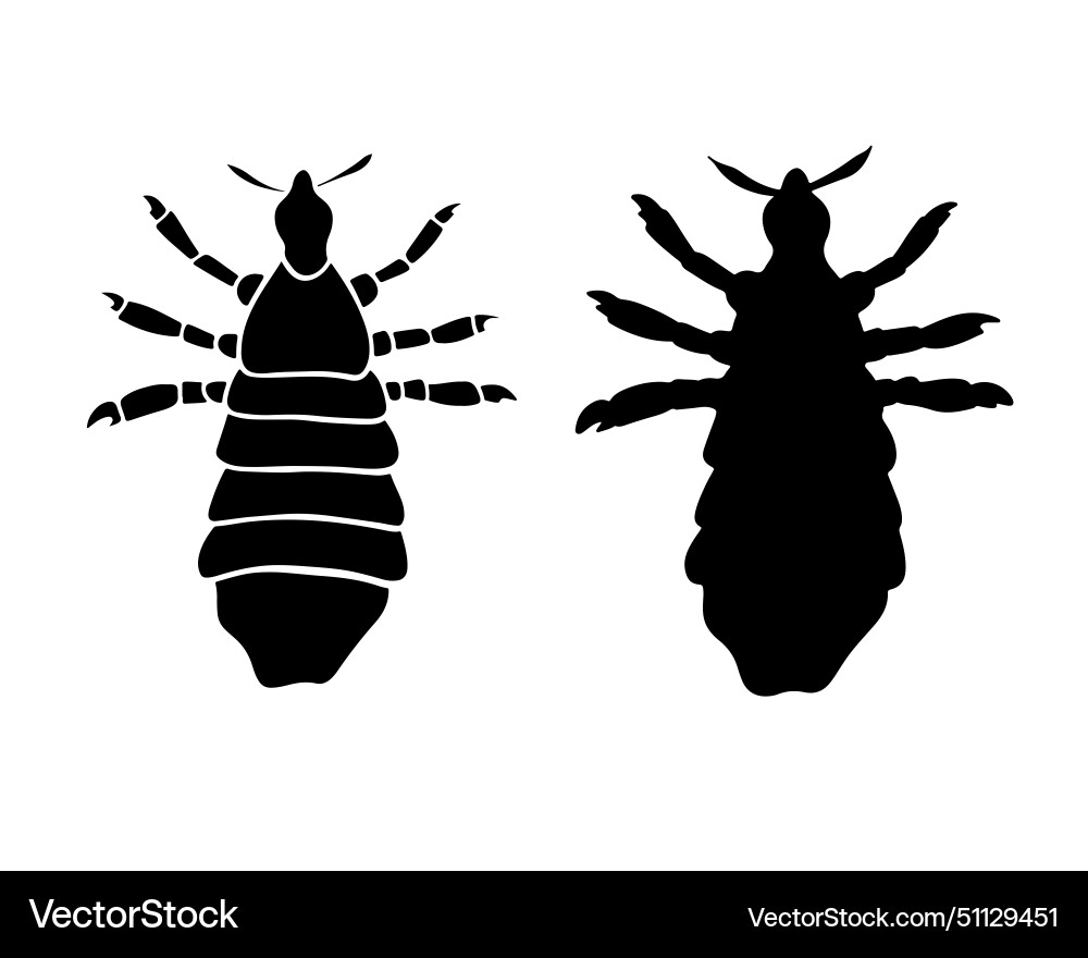 Louse silhouette on white background Royalty Free Vector