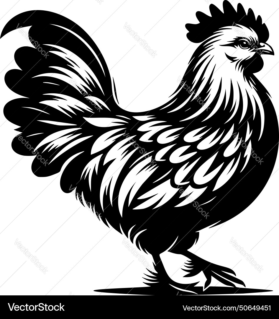 Monochrome of bantam chick Royalty Free Vector Image