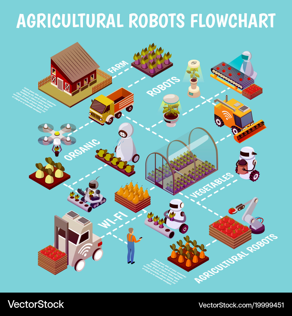 Robotised husbandry farm flowchart Royalty Free Vector Image