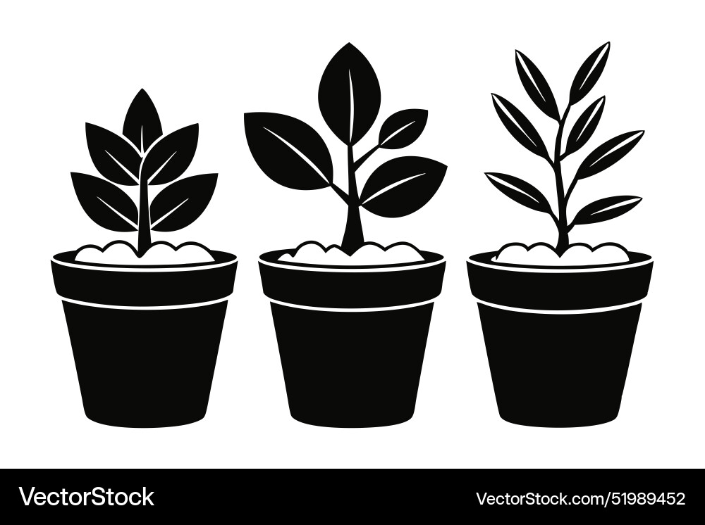 3 plant pots silhouette i Royalty Free Vector Image