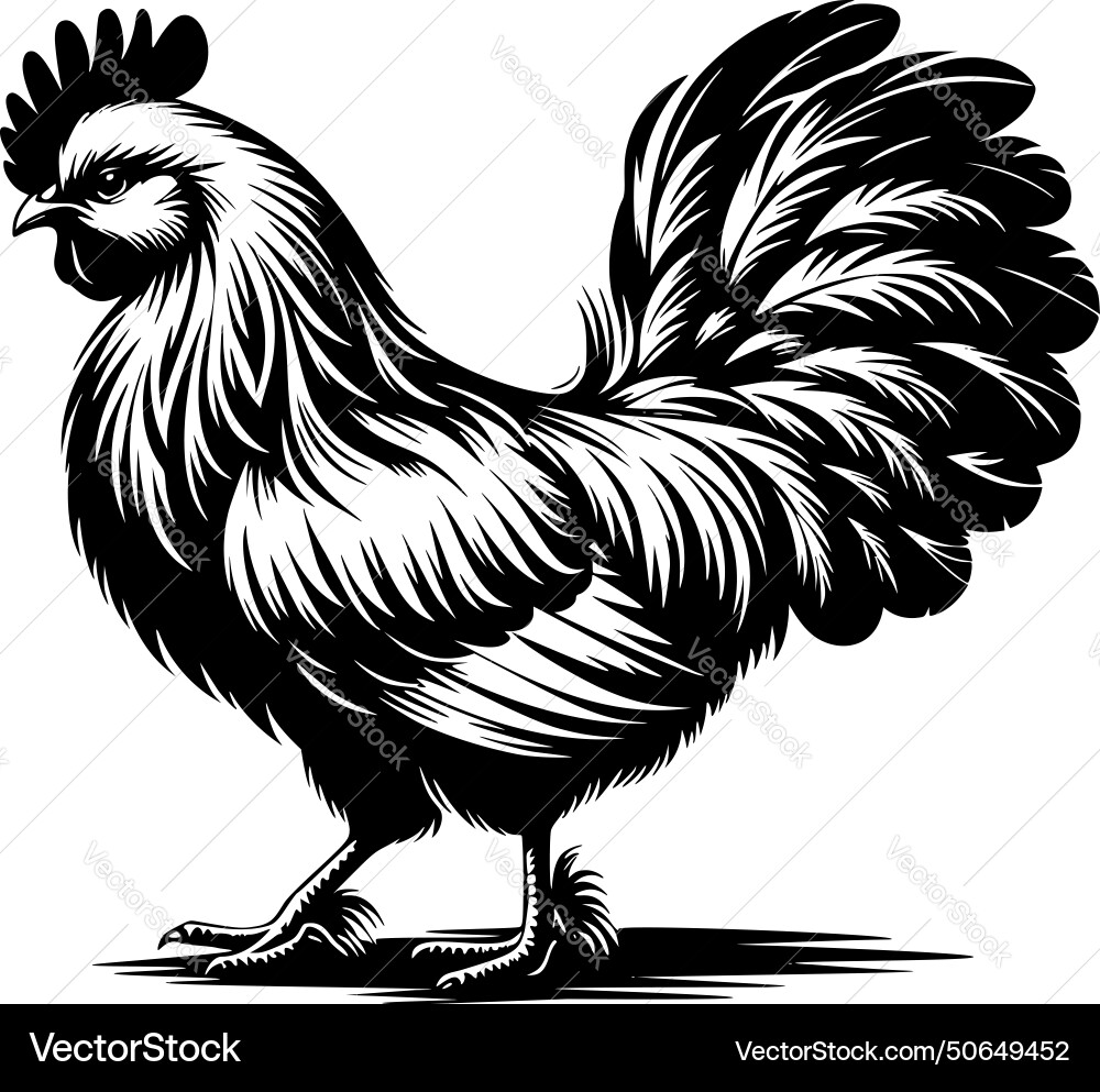 Elegant bantam chick in black and white Royalty Free Vector