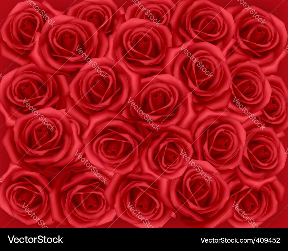 Red roses Royalty Free Vector Image - VectorStock