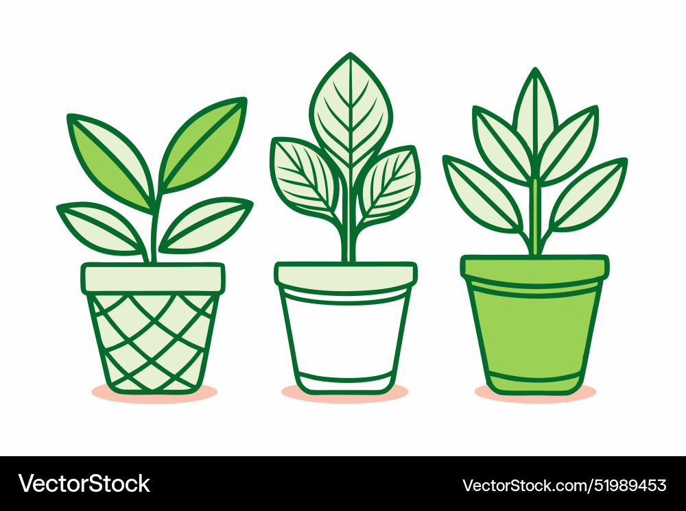3 plant pots silhouette j Royalty Free Vector Image