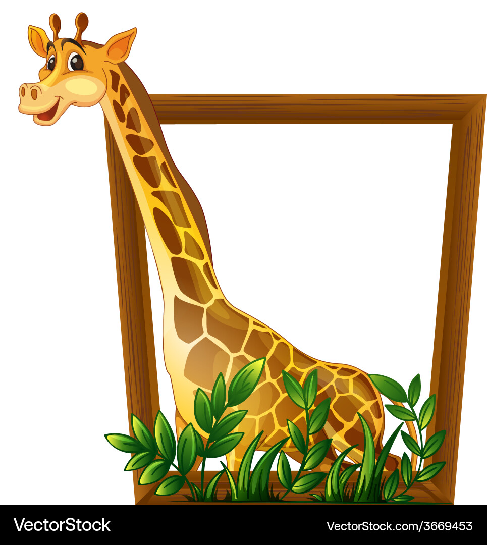 Giraffe Royalty Free Vector Image - VectorStock