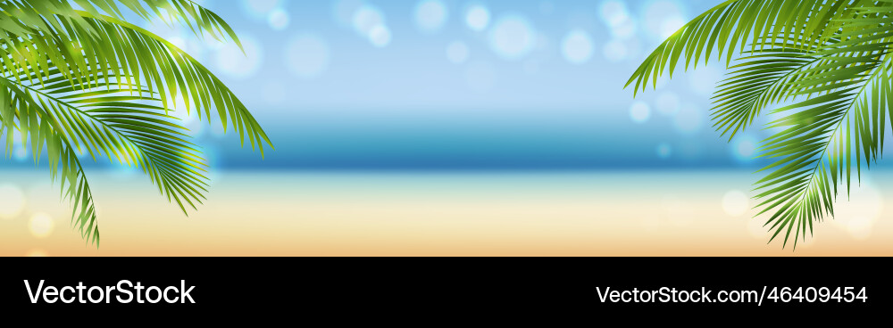 Banner with palm tree leaves and nature background