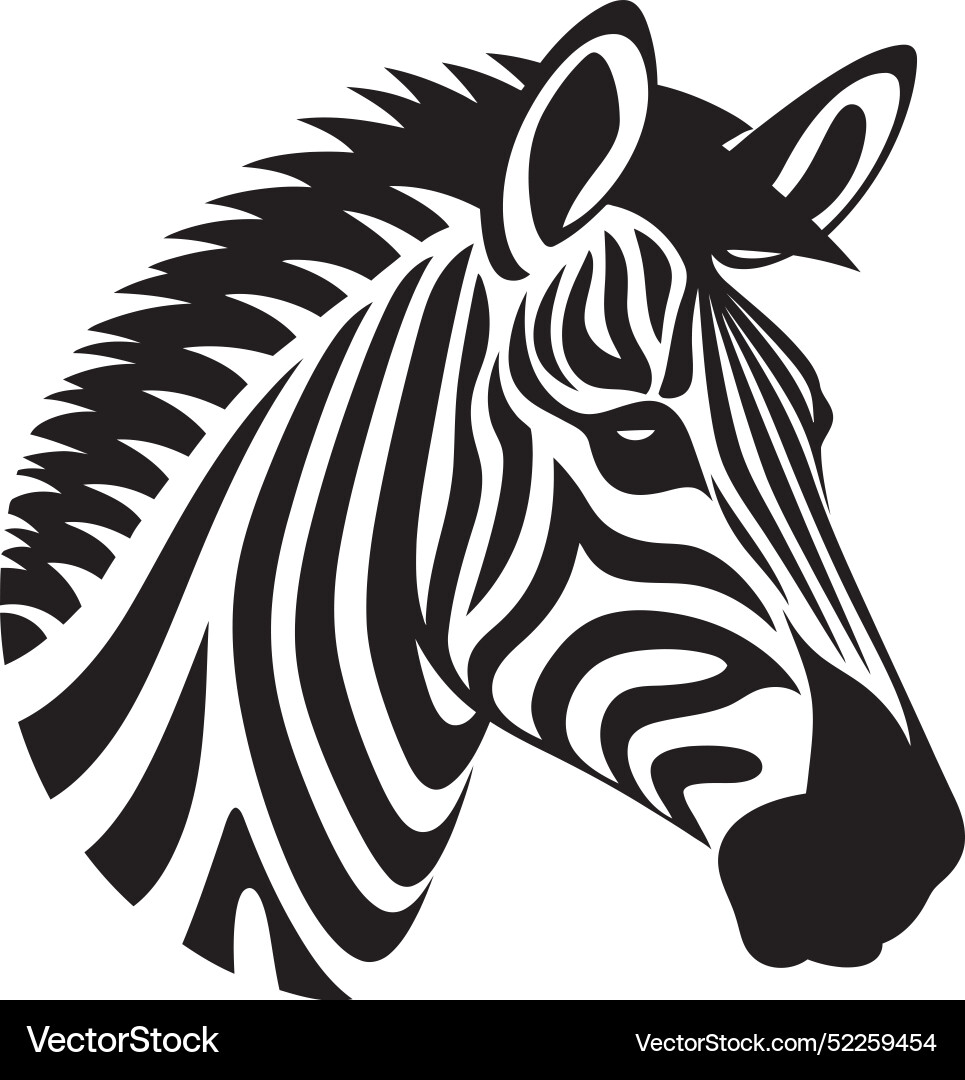 Sleek safari symphony zebra pattern zenith black Vector Image