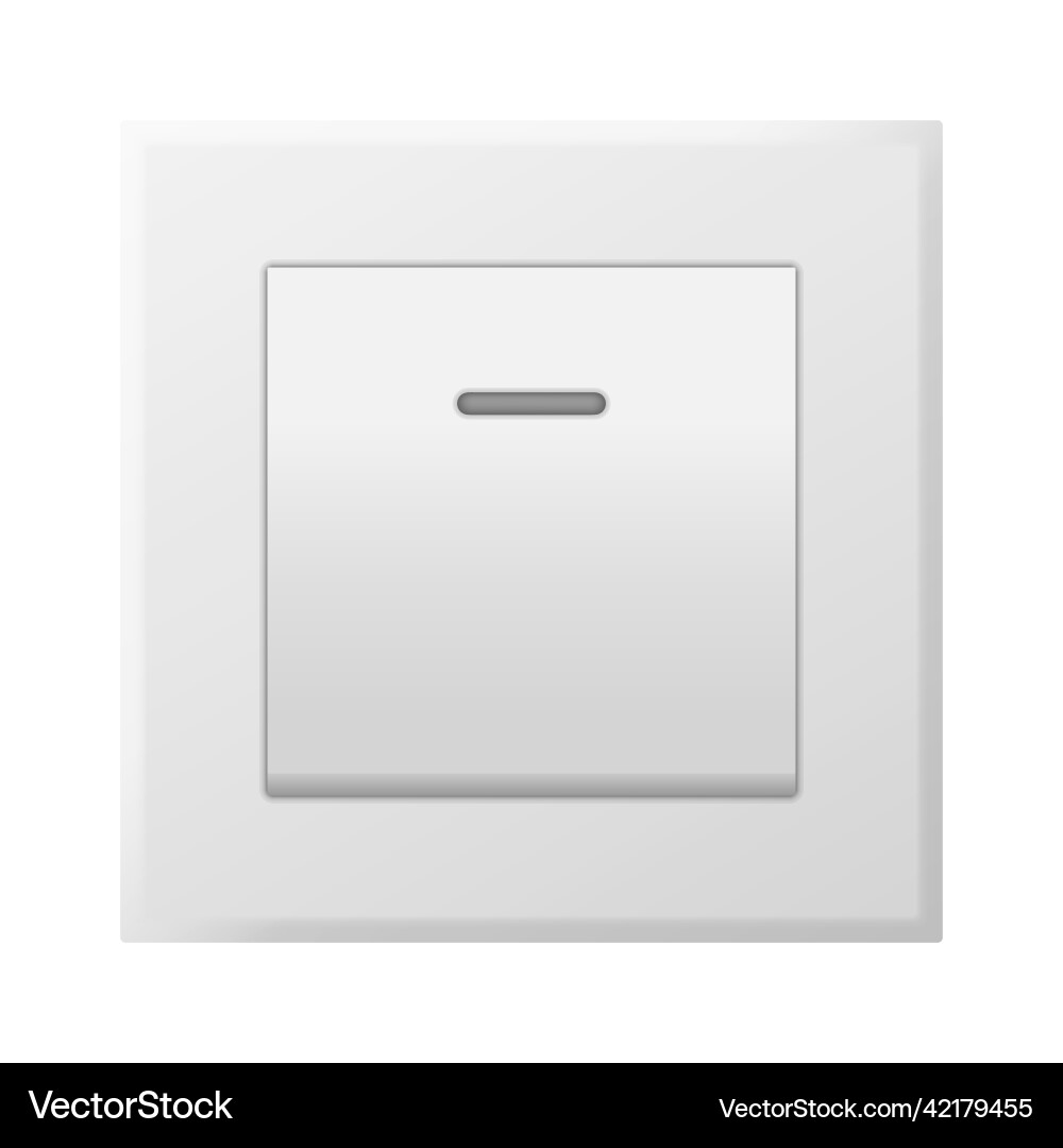 Realistic wall switch for electric power and light