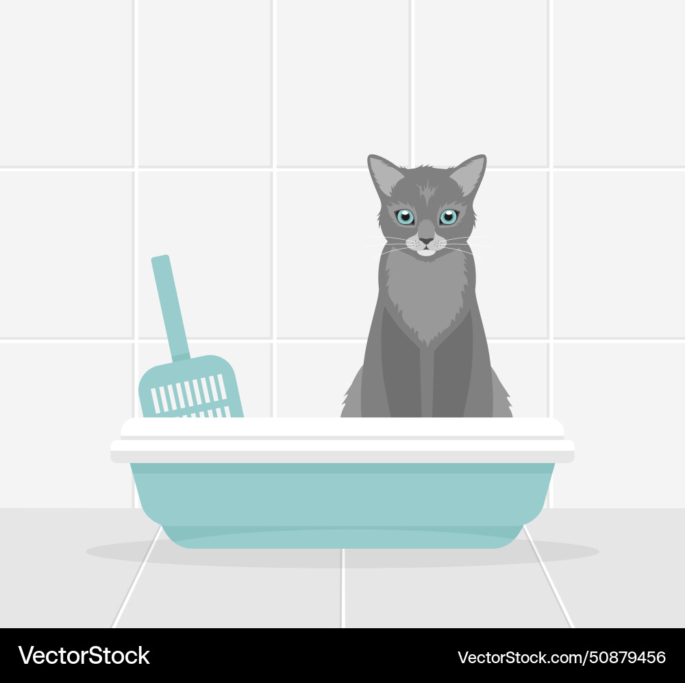 A gray cat sitting in litter box Royalty Free Vector Image