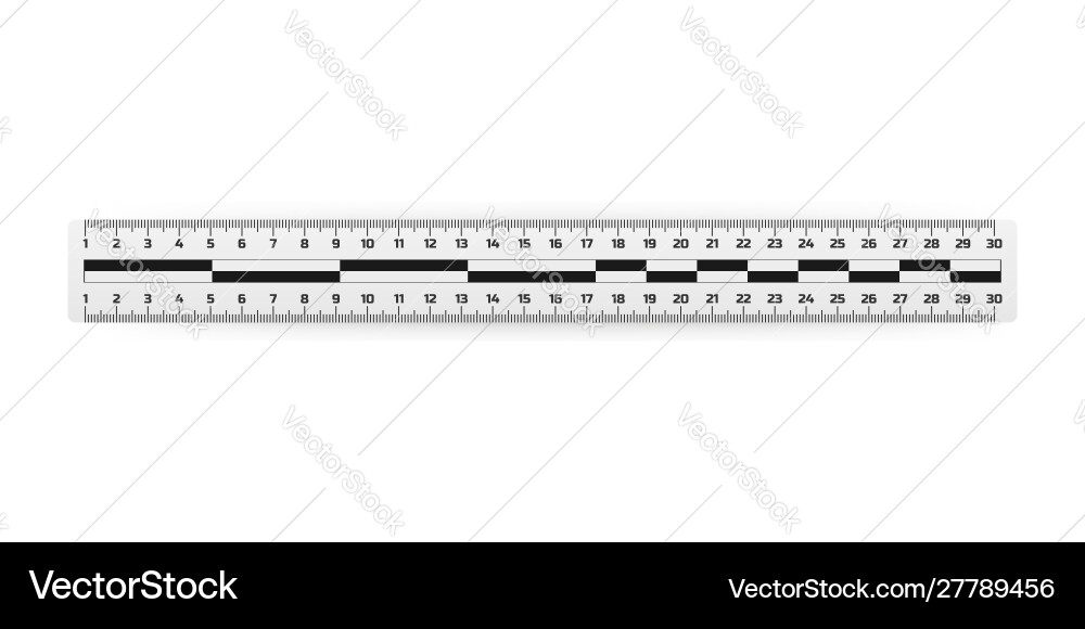 Crime Scene Measurement Ruler Royalty Free Vector Image