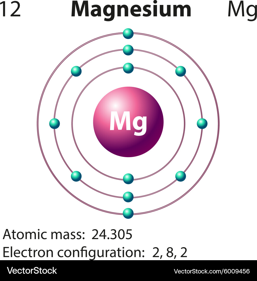 Diagrammdarstellung des Elements Magnesium Vektorbild