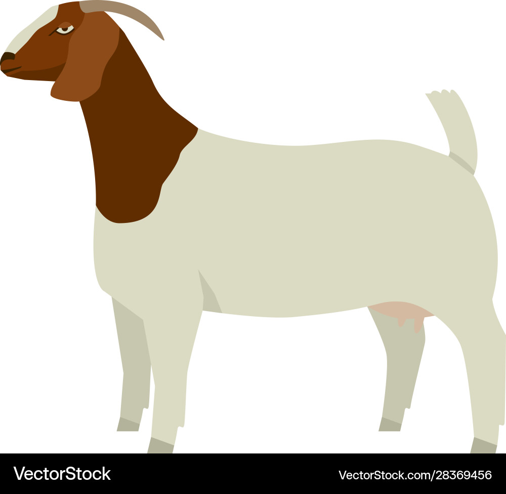 Farming today boer goat doe Royalty Free Vector Image