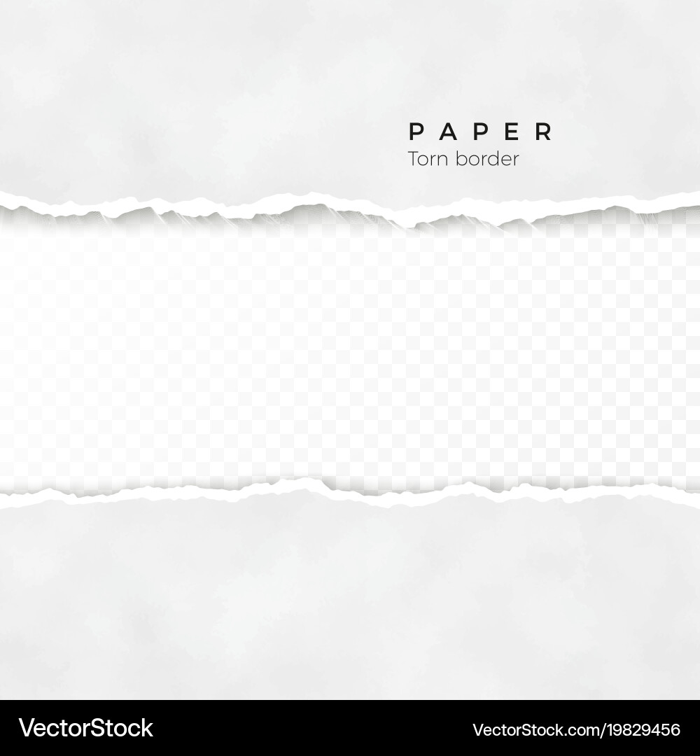 Horizontal torn paper edge texture rough Vector Image