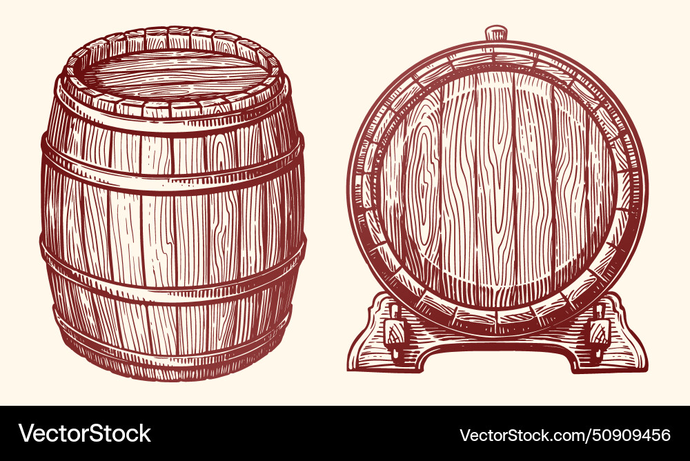 Wooden barrel set oak cask sketch Royalty Free Vector Image