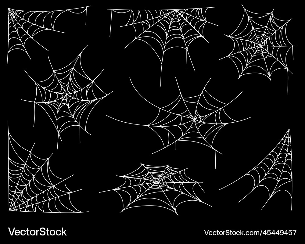Spider web set cobweb on dark background Vector Image