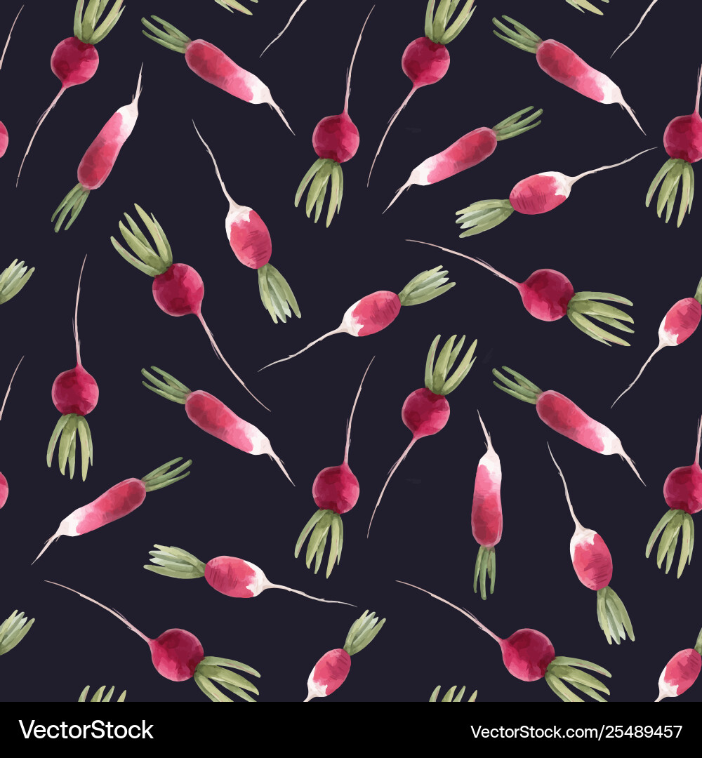 Watercolor radish seamless pattern Royalty Free Vector Image