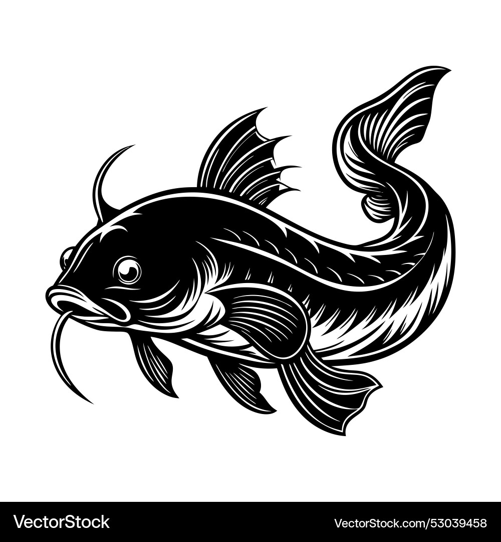 Elegant catfish silhouette in format white Vector Image