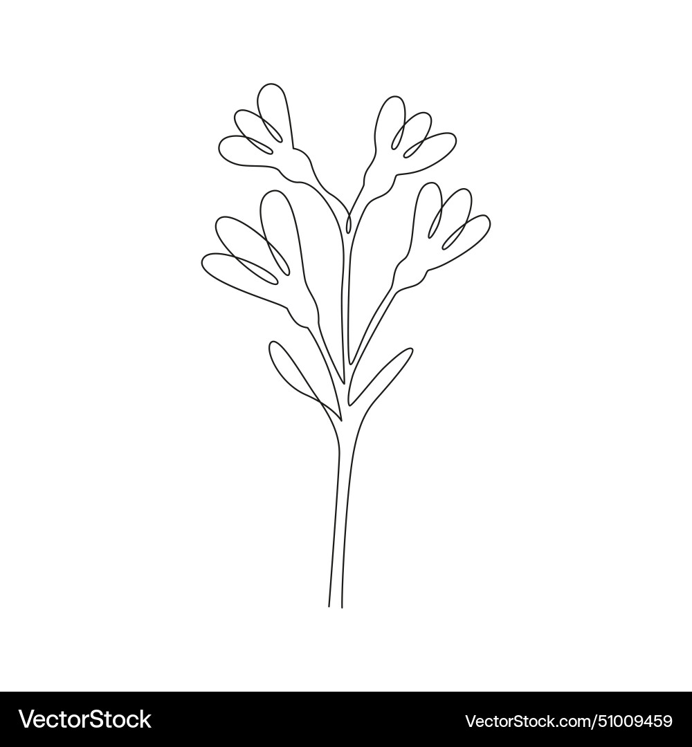 Wildflower line art Royalty Free Vector Image - VectorStock