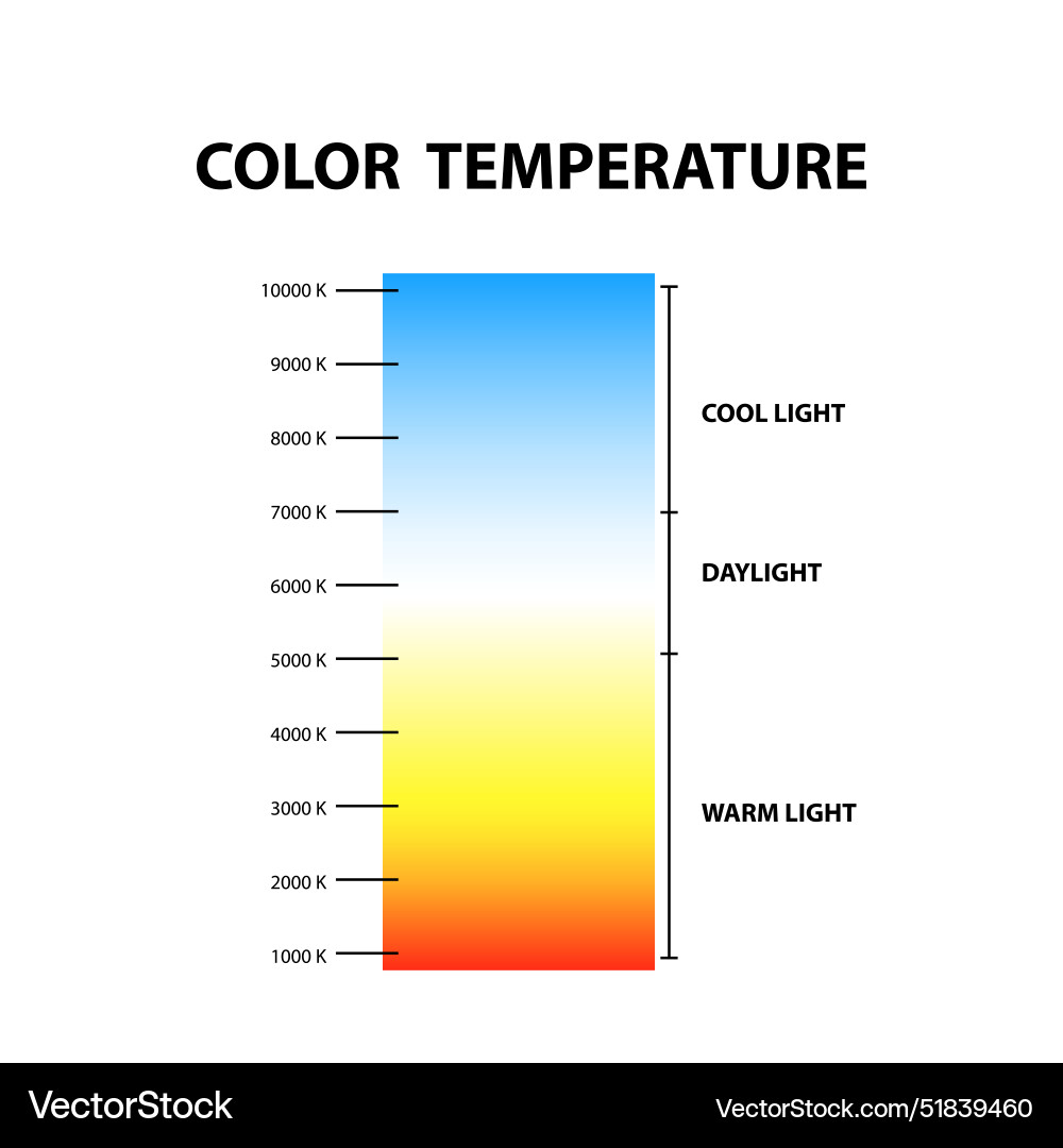 Color temperature chart isolated on white Vector Image