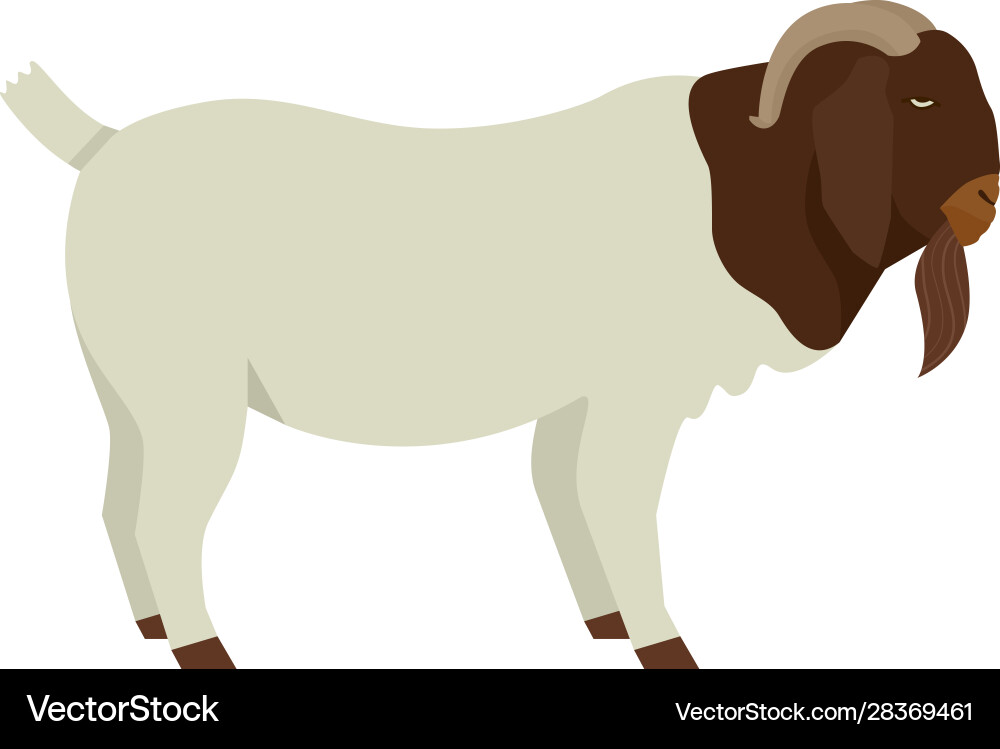 Farming today boer goat buck Royalty Free Vector Image