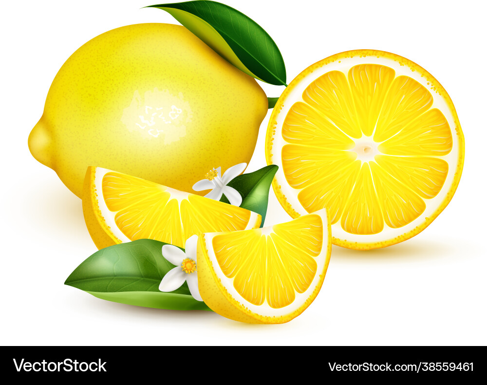 Lemon realistic composition Royalty Free Vector Image