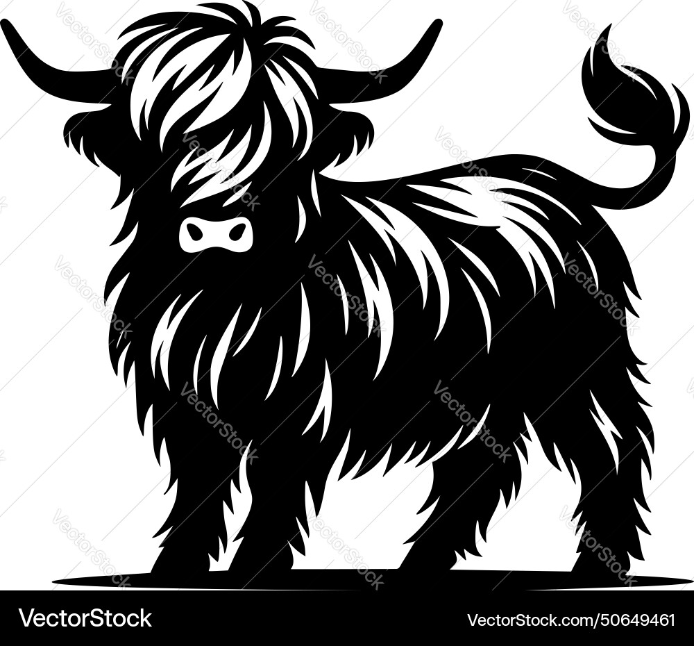 Monochrome Highland Cow Art Royalty Free Vector Image