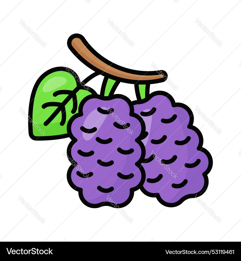 Mulberry Royalty Free Vector Image - VectorStock