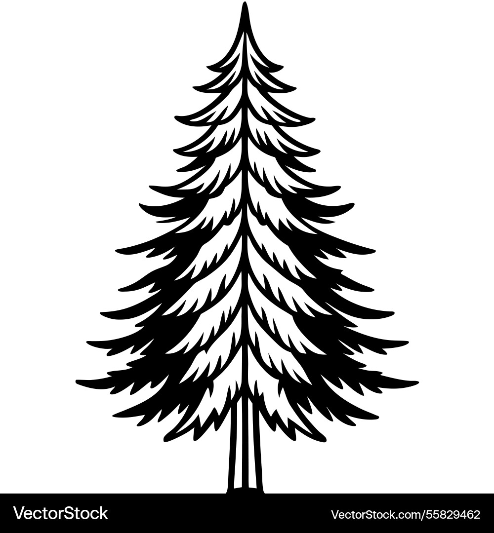 Long pine tree art design Royalty Free Vector Image