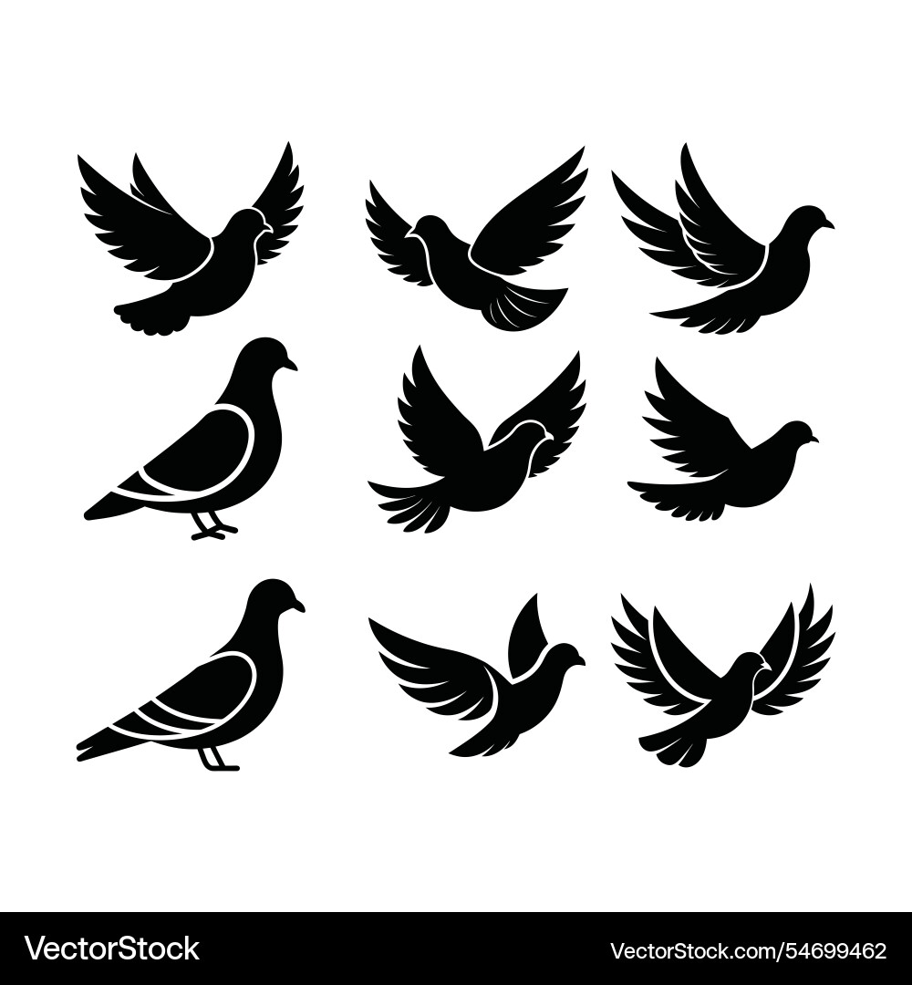 Pigeon bird silhouette bundle on white background Vector Image