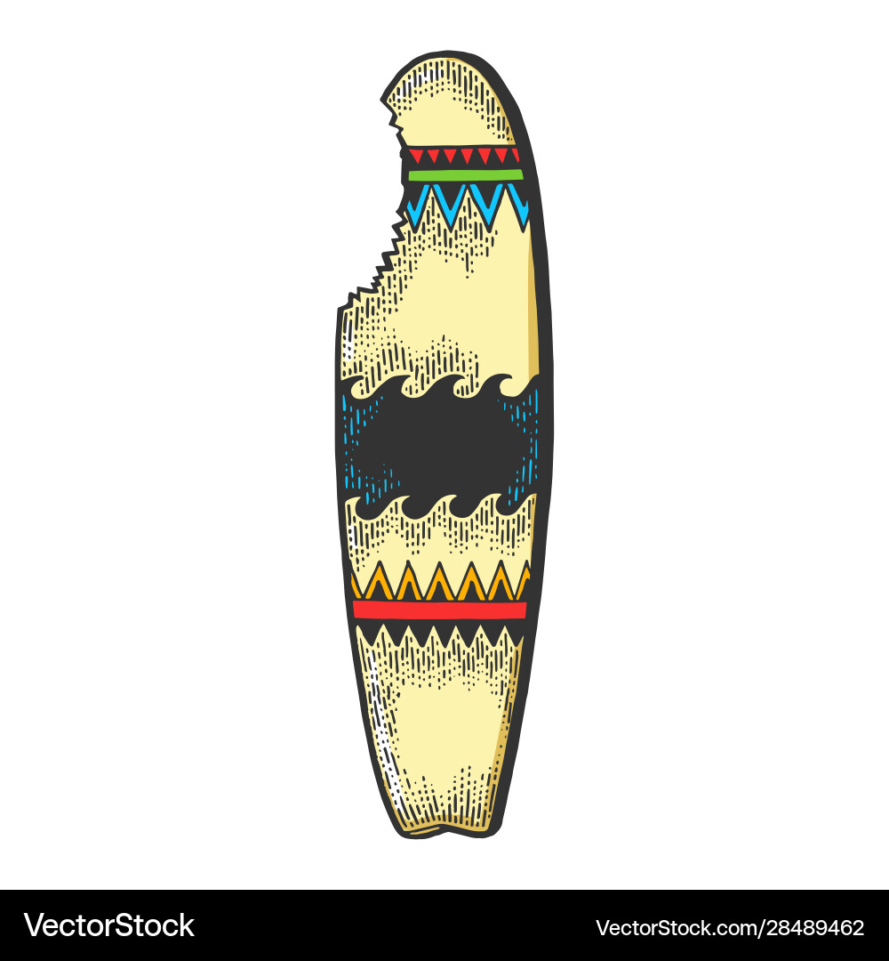Surfboard bitten shark sketch Royalty Free Vector Image