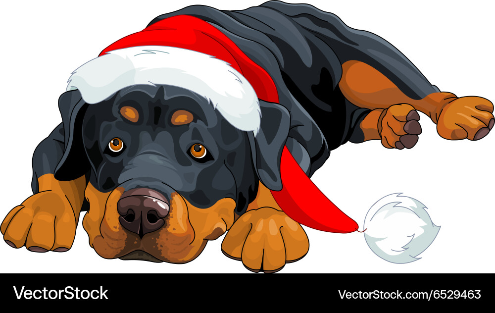Christmas rottweiler Royalty Free Vector Image