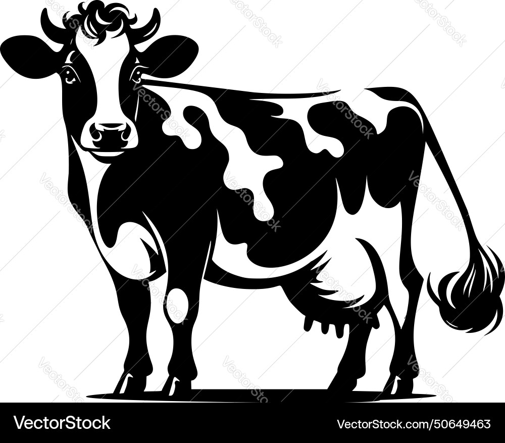 Holstein cow in monochrome art Royalty Free Vector Image