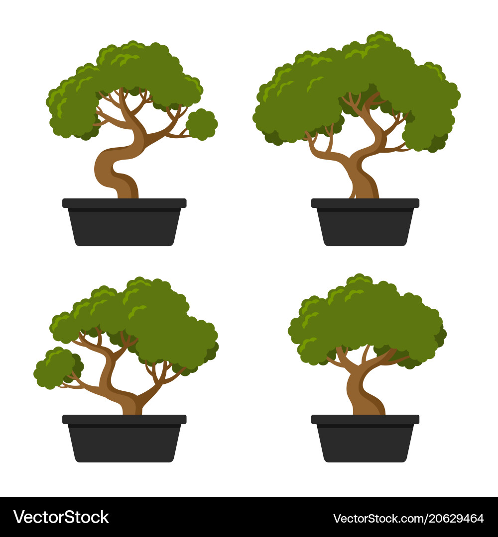 Bonsai tree icon set Royalty Free Vector Image