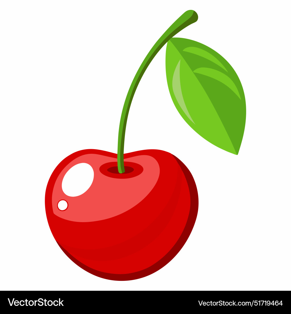 Cherry Royalty Free Vector Image - VectorStock