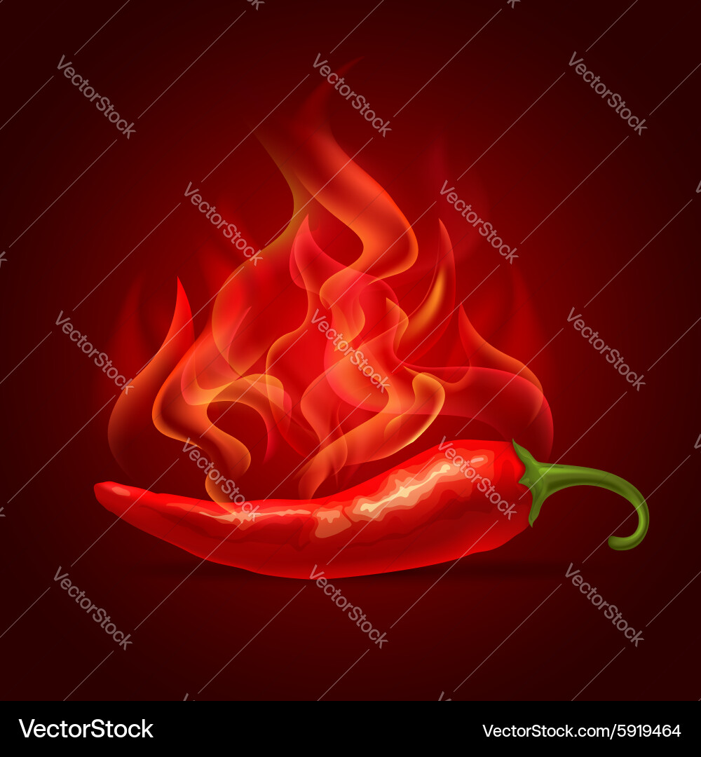 Hot pepper Royalty Free Vector Image - VectorStock
