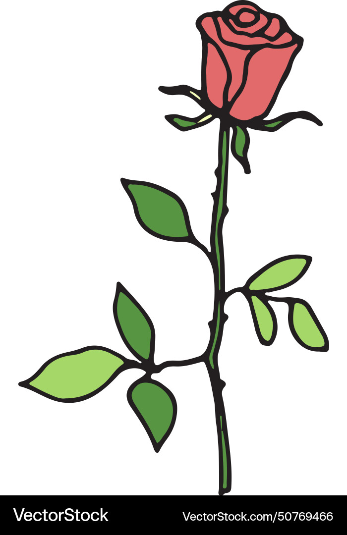 Red rose doodle color hand drawn flower Royalty Free Vector