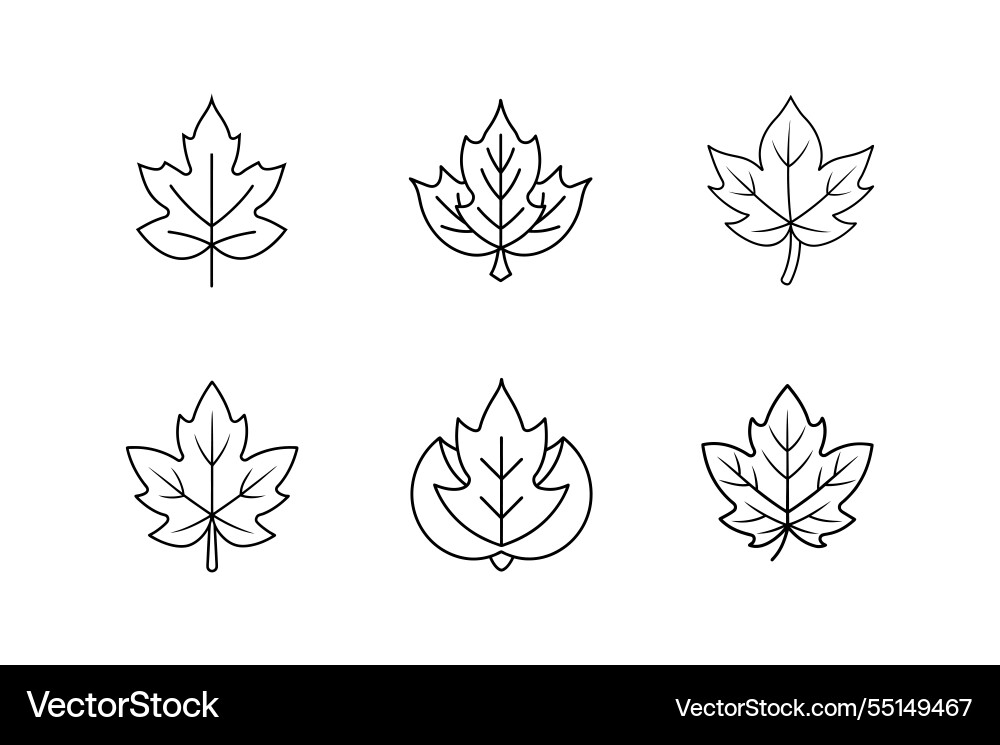 Autumn line art Royalty Free Vector Image - VectorStock