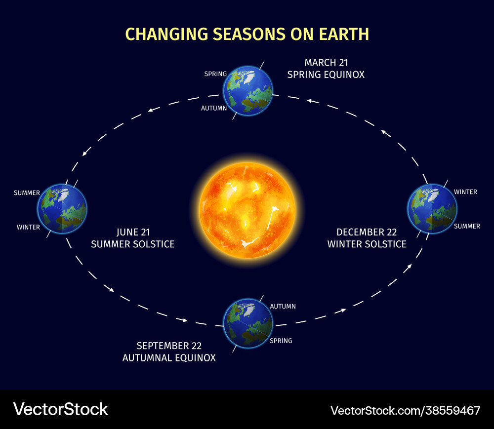 Earth seasons poster Royalty Free Vector Image