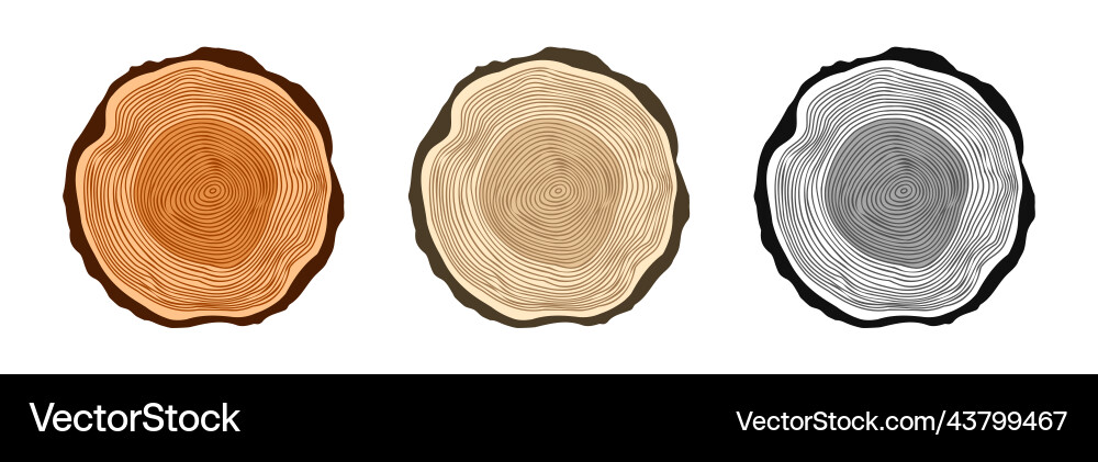 Round tree trunk cuts in various colors sawn pine Vector Image