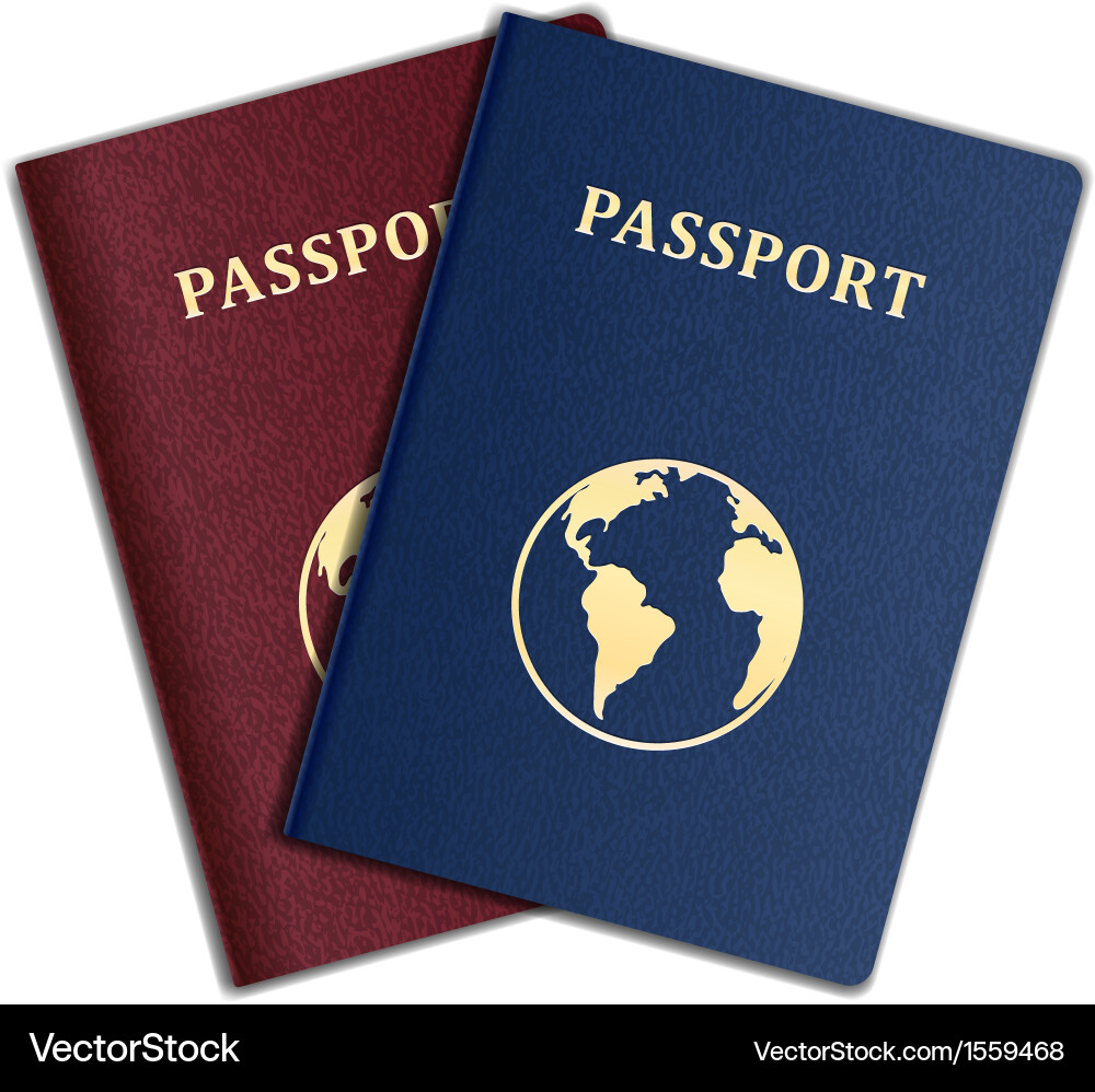 Passport Royalty Free Vector Image - VectorStock