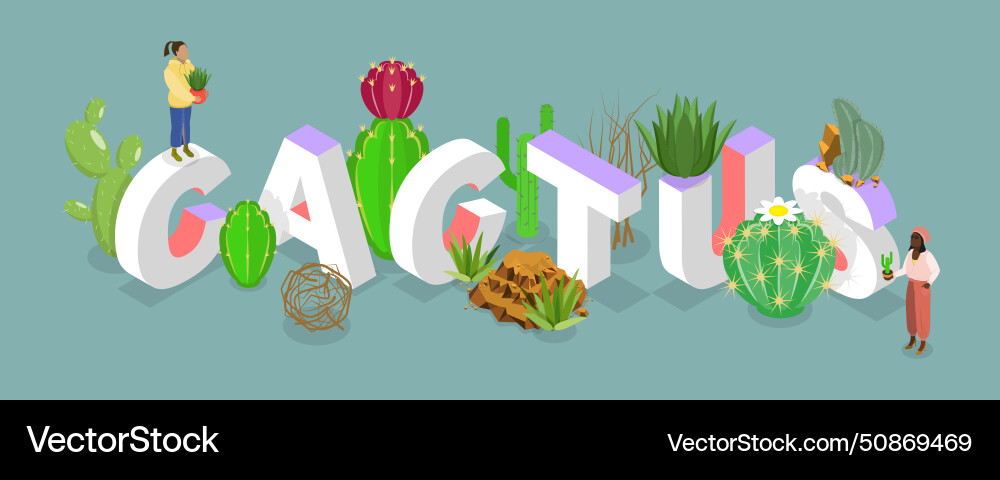 3d isometric flat of cactus Royalty Free Vector Image