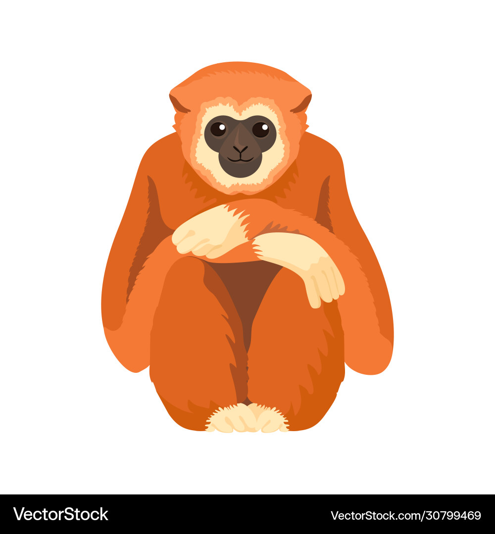 Gibbon primate mammal monkey in wildlife Vector Image