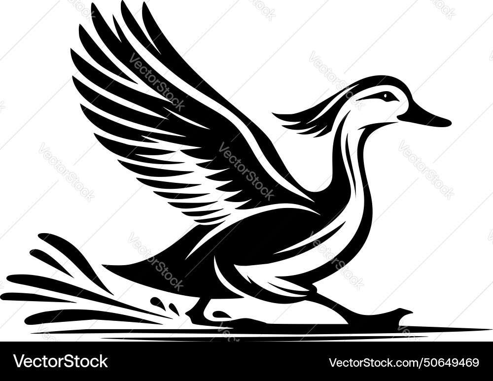 Graceful indian runner duck in monochrome Vector Image