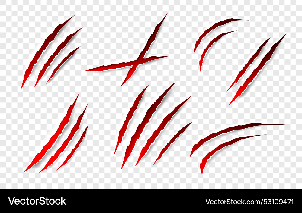 Claws scratches - isolated animal Royalty Free Vector Image