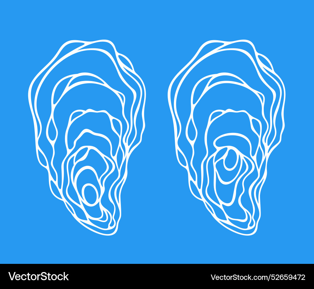 Oyster Royalty Free Vector Image - VectorStock