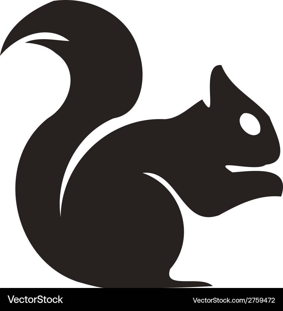 Squirrel Royalty Free Vector Image - VectorStock